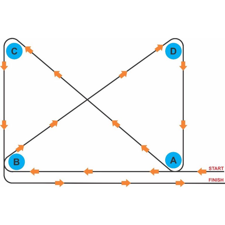 SEMO Agility Test - دسی‌کالا
